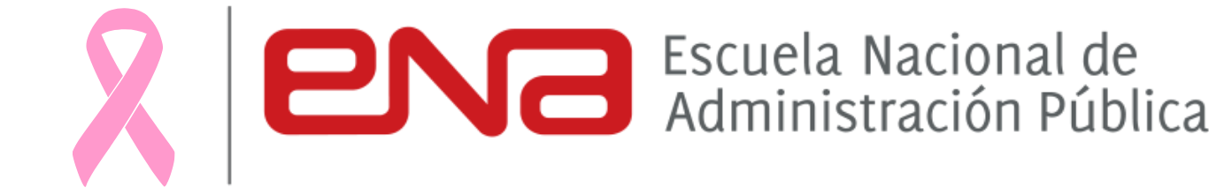 Estatuto Administrativo: Conoce los Derechos y Deberes de los ...